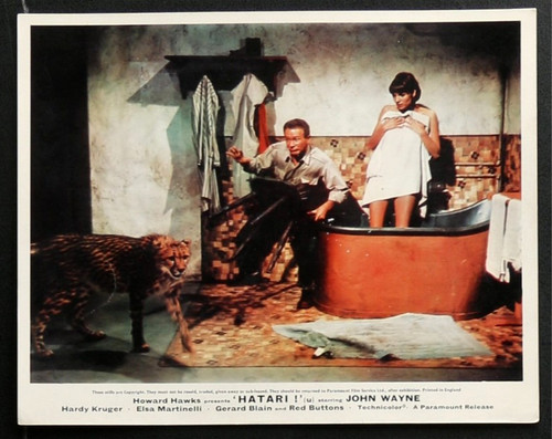 HATARI 1962 English FOH LOBBY CARD John Wayne & Elsa Martinelli PHOTO ...