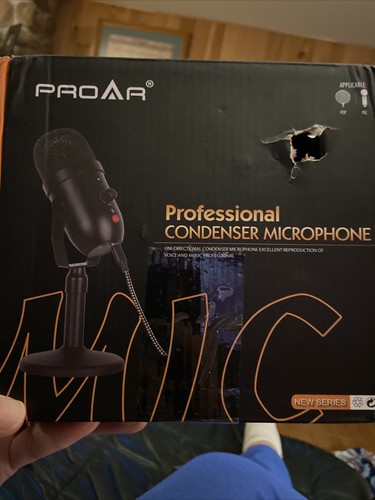 ProAr Professional Condenser Microphone | eBay