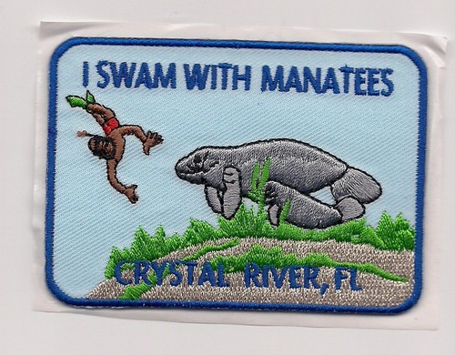 I Swam with Manatees Crystal River Florida Souvenir Patch | eBay