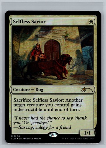 Selfless Savior FOIL Magic the Gathering Randy Vargas Secret Lair MTG 1286 Dog | eBay