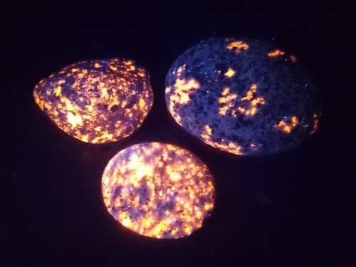 Yooperlite collection - 3 BRIGHT Lake Superior stones w/ UV fluorescent ...