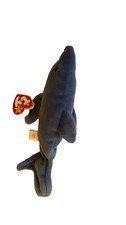 Crunch the Shark : Beanie Babies : Beaniepedia