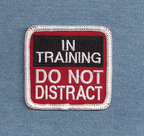 IN TRAINING DO NOT DISTRACT - 2.5" x 2.5" - service dog vest patch | eBay