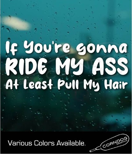 If You're Gonna Ride My A$$ VINYL STICKER DECAL FUNNY DRIVING CAR | eBay