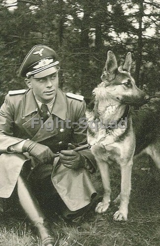 WW2 Picture Photo German Officer With His Dog in war 3310 | eBay