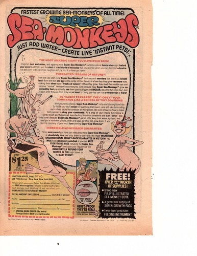 SEA-MONKEYS 1970's VINTAGE 6.5 X 10 COLOR PRINT AD (b | eBay
