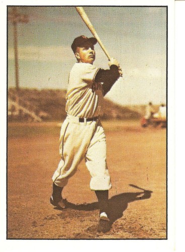 1979 TCMA LTD RANCE PLESS BASEBALL CARD #176 | eBay