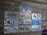 Starter Pack of 10 License Plates from 10 Different States Tags Lot Art ...
