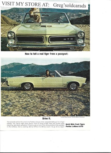 1965 Pontiac Tempest GTO Print Ad: "How to tell a real tiger from a ...