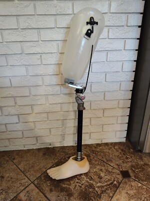 Prosthetic Leg for sale | eBay