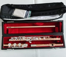 taishan_musical | eBay Stores