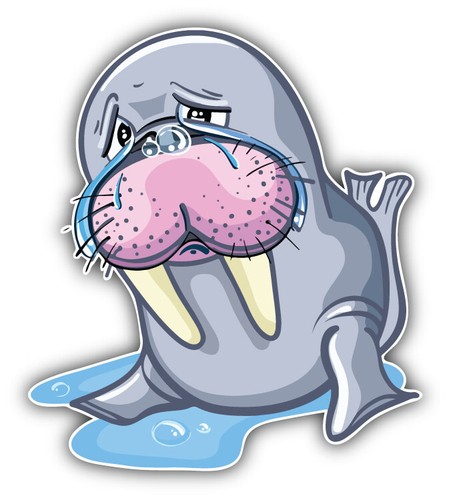Sad Walrus Cartoon Animal Car Bumper Sticker Decal | eBay