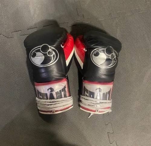 Grant Boxing Training Sparring Gloves 12oz (Winning Everlast Reyes) | eBay