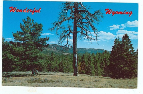 Wyoming, View of Sherman Mountains. from Happy Jack Road off I-80 ...