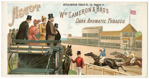 ASCOT DARK AROMATIC Caddy Crate Label || W.M Cameron & Bro's, British ...