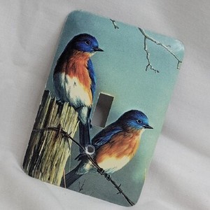 The Dogpatch Picker | eBay Stores