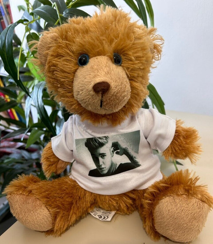 JUSTIN BIEBER CUDDLY TEDDY BEAR | eBay
