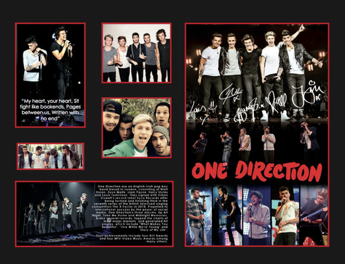 New ONE DIRECTION Signed Limited Edition Memorabilia Framed | eBay