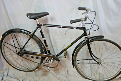 Raleigh Cruiser Bikes for sale | eBay