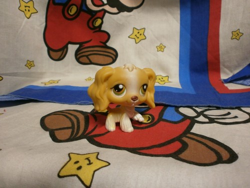 LPS #672 Cocker Spaniel Authentic Dog Green Eyes 2006 | eBay