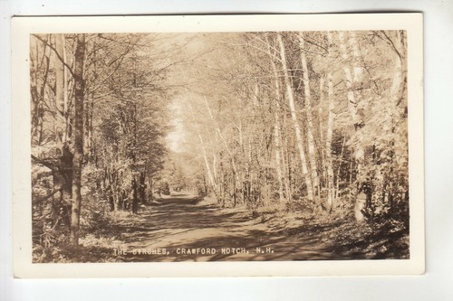 ED Putnam Real Photo Postcard The Birches Crawford Notch NH | eBay