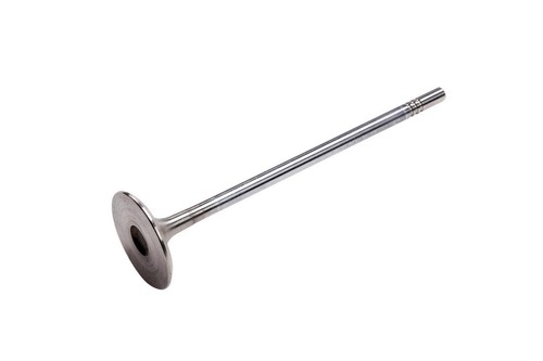 GM Genuine Parts 55557741 Engine Intake Valve | eBay