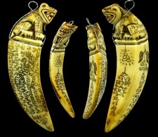 tiger tooth for sale | eBay