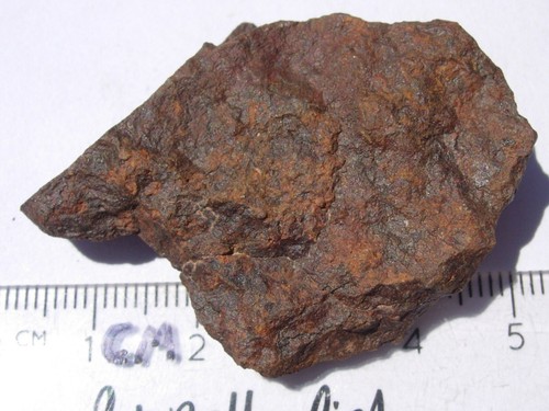 18.1 grams Gold Basin meteorite (class L4) as found in Arizona 1995 ...