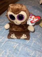 Chimps the Monkey - Peek-a-Boos - Beaniepedia