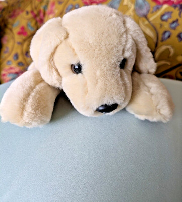 Andrex Puppy for sale | eBay