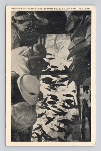 Postcard Silver Springs Fla. Seeing Fish Thur Glass Bottom Boat | eBay