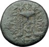 ANTIOCHOS II Theos 261BC Seleukid Tripod Authentic Ancient Greek Coin ...