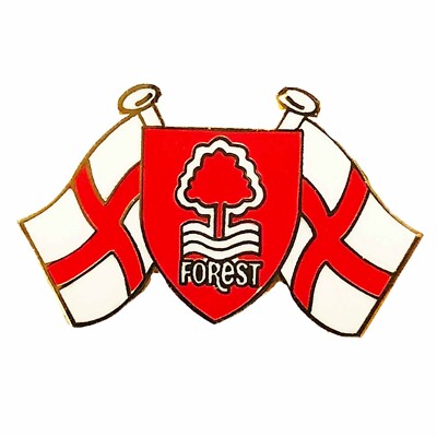 Nottingham Forest Football Badges & Pins for sale | eBay