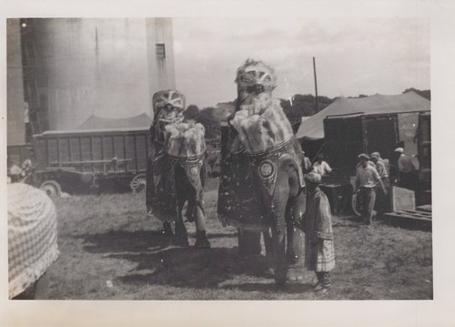 Ringling Bros RBBB Elephant Parade Backlot Circus 1930s - Original ...