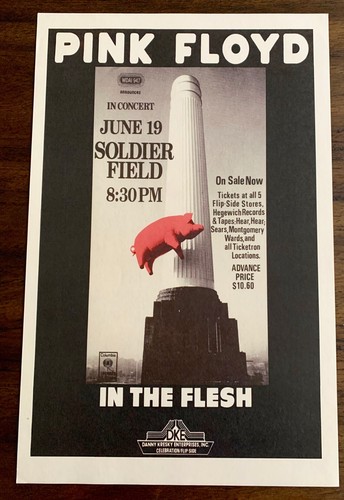 PINK FLOYD Soldier Field Poster In The Flesh | eBay