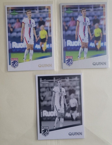 2023 PARKSIDE NWSL VOL 1 QUINN BASE FOIL BLACK & WHITE #163 3 CARD | eBay