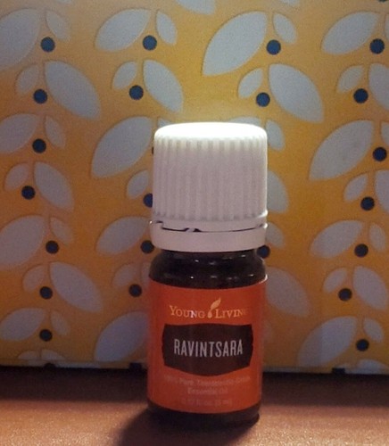 Young Living Ravintsara 5ml. NEW & SEALED | eBay