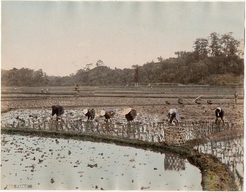 Photo Albumen Famer Japan Circa 1880 | eBay