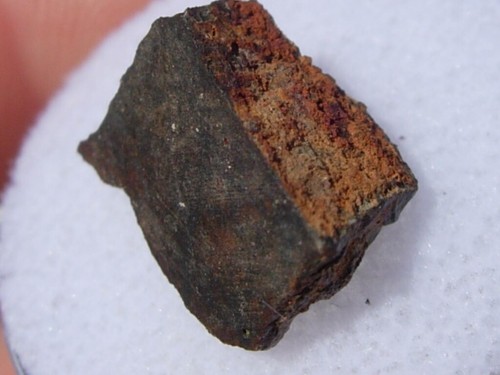 1.61 grams NWA 865 Meteorite ( L4 ) cut fragment with a COA | eBay