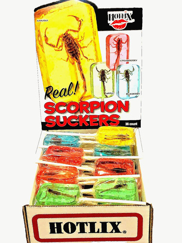 REAL SCORPION SCARY SUCKERS/GREAT FUN AT PARTIES +A SUPRISE GIFT. | eBay