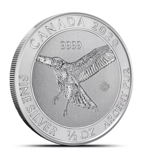 2020 1/2 oz Canadian Silver Red-Tailed Hawk Coin BU - NICE!! | eBay