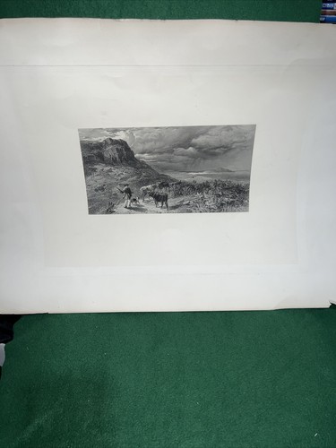 Vintage D. Appleton & Co. Engraving Prints - 11" X 15" | eBay