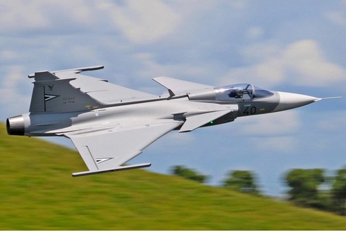 RC Airplane Freewing JAS-39 Gripen 80mm EDF Jet ARF PLUS Grey USA | eBay