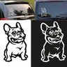 French Bulldog Sticker Vinyl Car Dog Decal Frenchie 245mm X 220mm | eBay