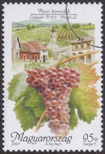 Specimen, Hungary Sc4037 Cirfandli Grapes, Wine Production, Pecs Region ...