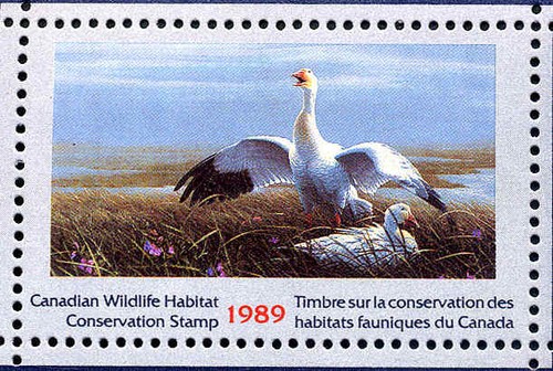 CANADA 1989 DUCK STAMP MINT IN FOLDER AS ISSUED SNOW GOOSE by Jean-Luc ...