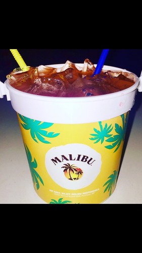 Malibu Special Edition 32oz Plastic Buckets for Cocktails 1 case 100 ...