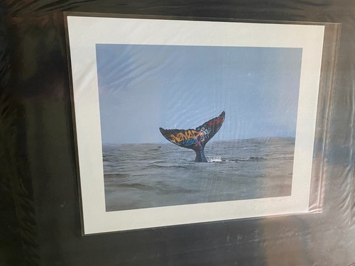 Josh Keyes - Descent - Art Print | eBay