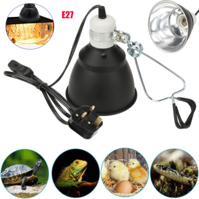 Vivarium Heat Lamp for sale | eBay