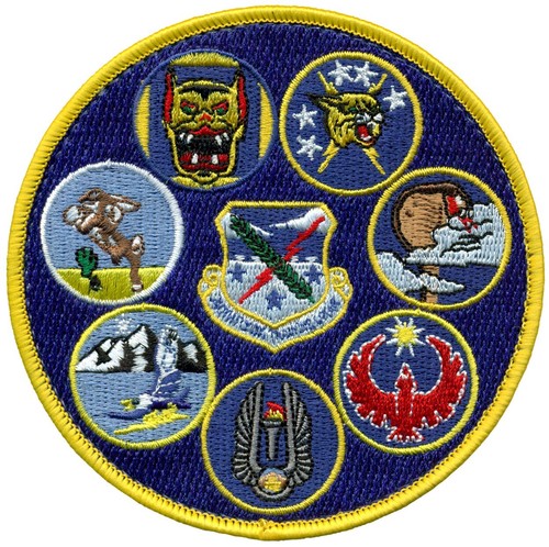 USAF 340th FLYING TRAINING GROUP PATCH - GAGGLE | eBay